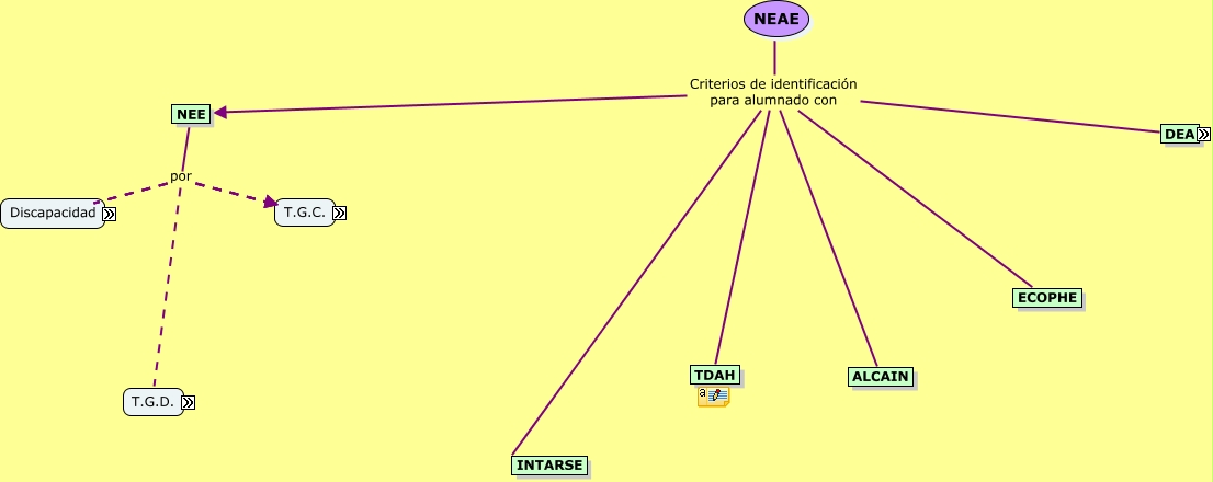 Criterios de identificación NEA